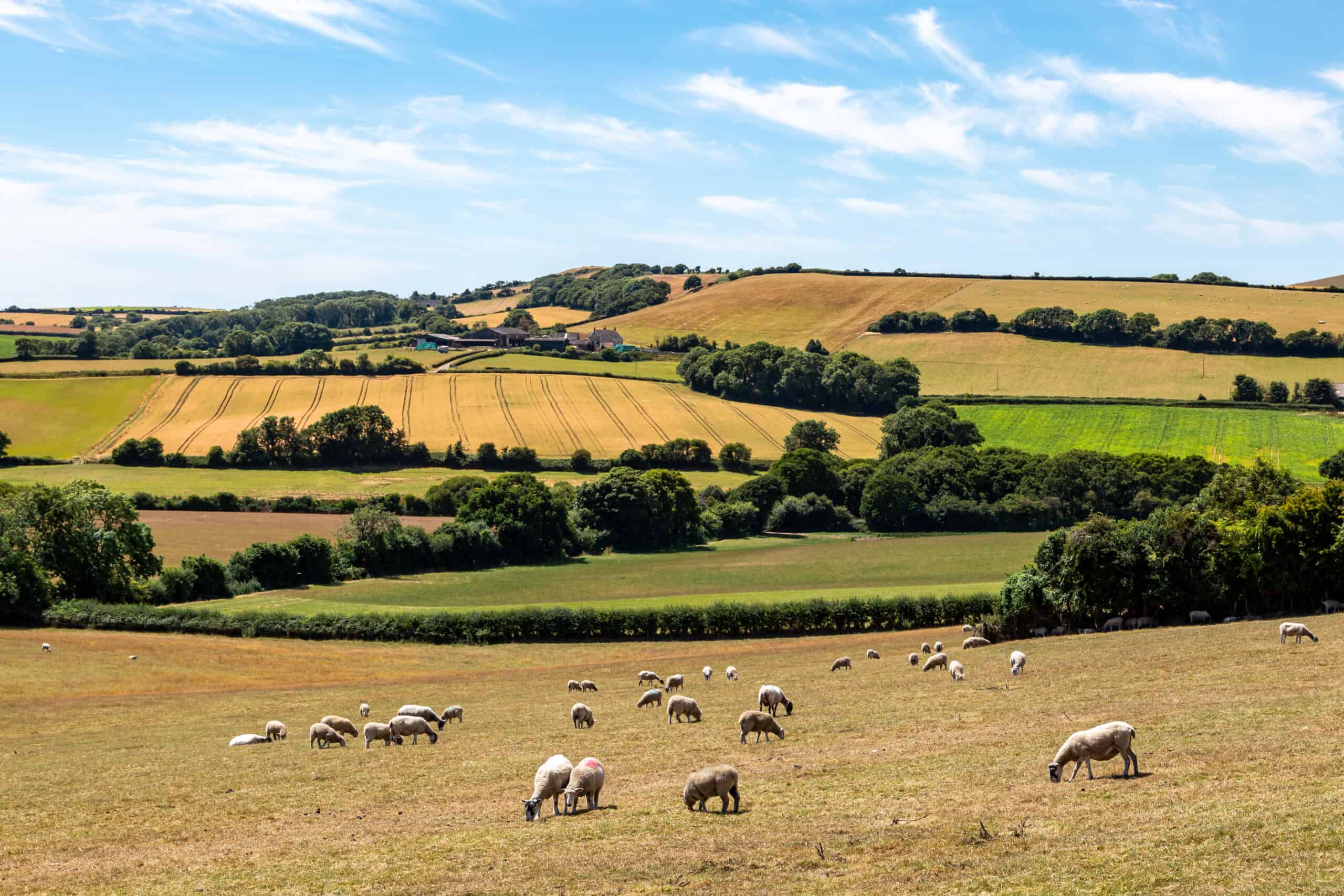 The Wilson Browne team visit the Farm Business innovation Show : Wilson ...